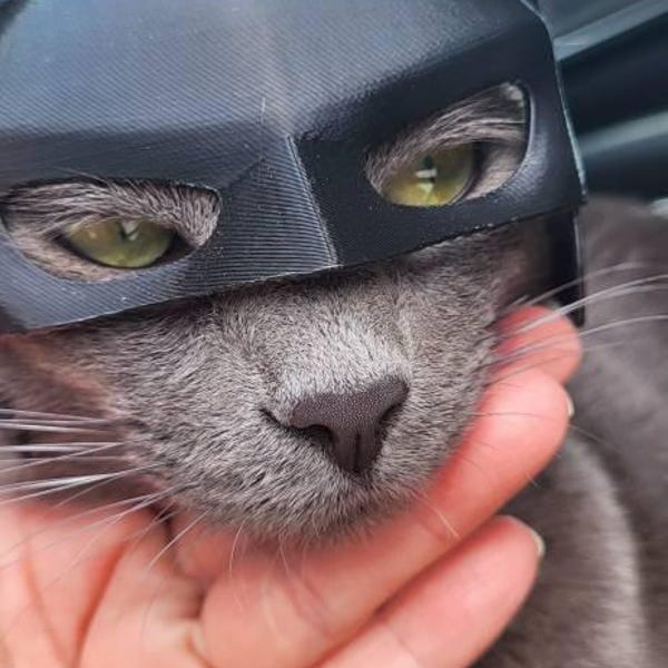 Atomic Fallout Bimbus Cat Helmet - Etsy