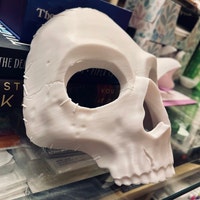 Ghost Rider - Scorpion - Skeletor - Skull Helmet and Mask - Fan Made ...