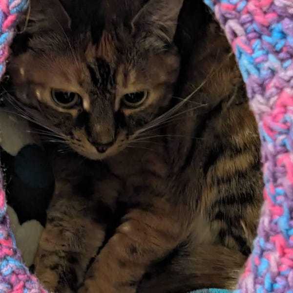 Cat Pod Crochet Pattern © - Etsy