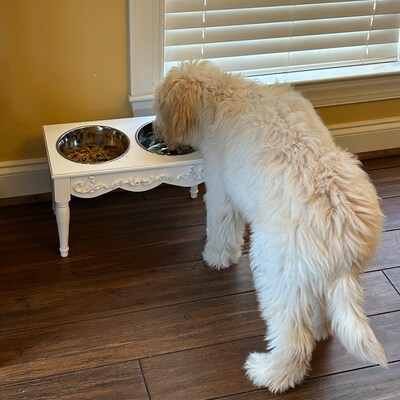 Farmhouse Chic Dog or Cat Elevated Pet Feeder HUMAN GRADE Stainless ...