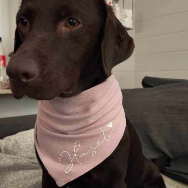 Halstuch Fur Hunde Mit Namen