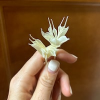 Fresh Leather Leaf Fern baker Fern Bunches free Shipping - Etsy