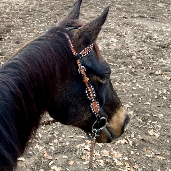 Floral Tooled Buckstitch Tack Sets - Etsy