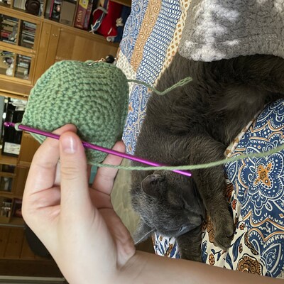 Gall Bladder Crochet Pattern PATTERN ONLY Instant DOWNLOAD - Etsy