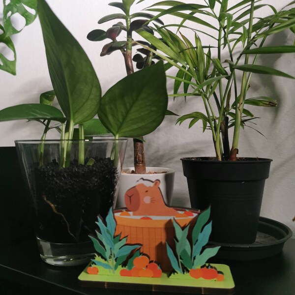 Capybara Spa Onsen Desk Companion - Cute Capybaras Gift - Kawaii Desk ...