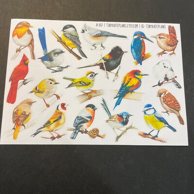 Tiny Ombre Date Dot Planner Stickers, Colorful Mini Dot Calendar ...