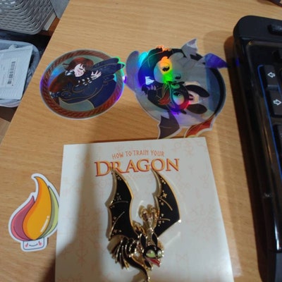 Yin and Yang Hard Enamel Pin, HTTYD, Nightfurry and Lightfurry, Gold ...