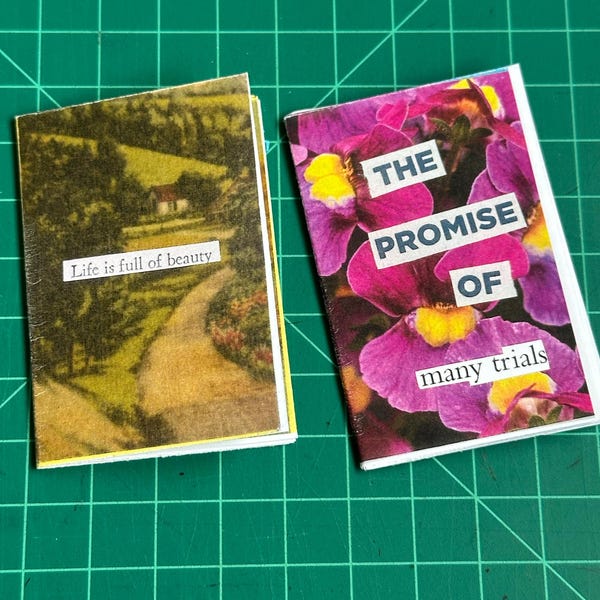 Collage Mini Zine Kit - Etsy