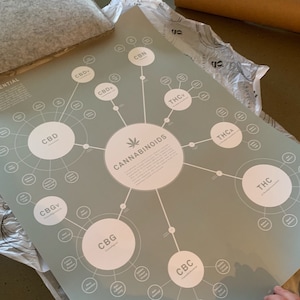 Cannabinoid Health Matrix Chart Medical Marijuana Infographic | Etsy