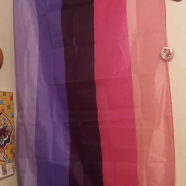 DIGITAL FILE: Printable Extended Pride Flag Reference Guide - Includes ...