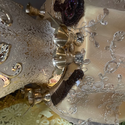 Large Rose of Jericho Resurrection Plant Rosa De Jerico Reviving House ...