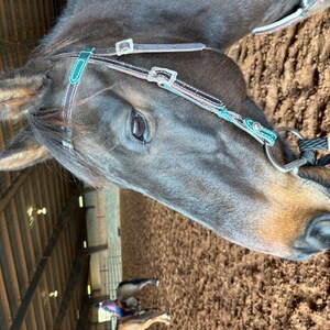 Leather Short Shank Western Curb Bit - Etsy