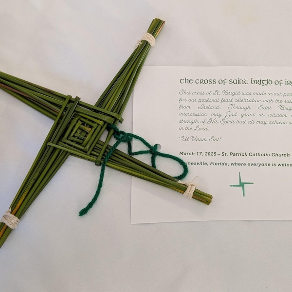 Devil Pod / Bat Nut / Water Caltrop /trapa Bicornis - Protective Amulet ...