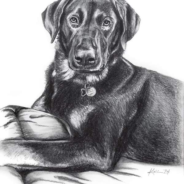 Labrador Retriever Art Print, Black Lab Chocolate Lab Drawing, Sleeping ...
