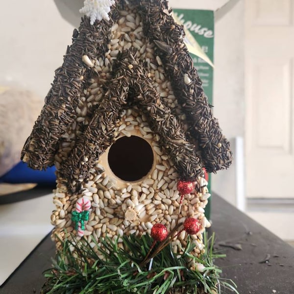 Edible Bird Home, Birdseed Birdhouse, Bird Seed House, Handmade Bird ...