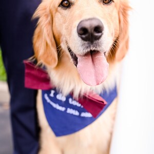 Medical EMS Dog Bandana Personalized Ambulance Paramedics - Etsy