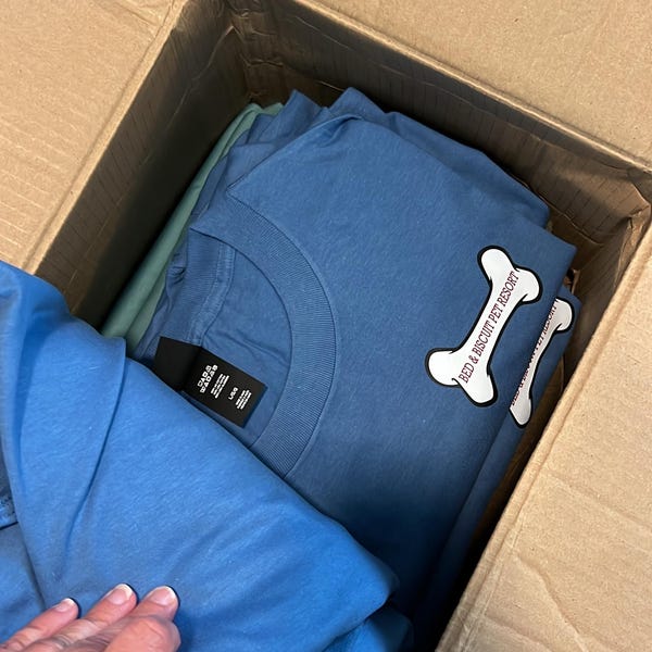 Horse Head Svg, Horse Svg, Stallion Svg, Horse Lover, Vector Cut File ...