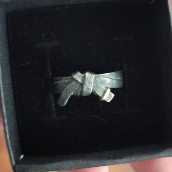 Personalized Martial Art Belt Ring, Bjj Gift, 18K Gold Rank Stripes ...