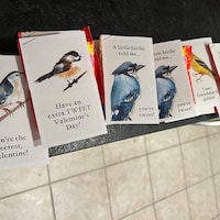 Bird Valentine Cards - Mini Cards for Classroom Valentine's Day Parties ...
