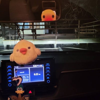 Duck Peeker Rear View Mirror/sun Visor Decal - Etsy