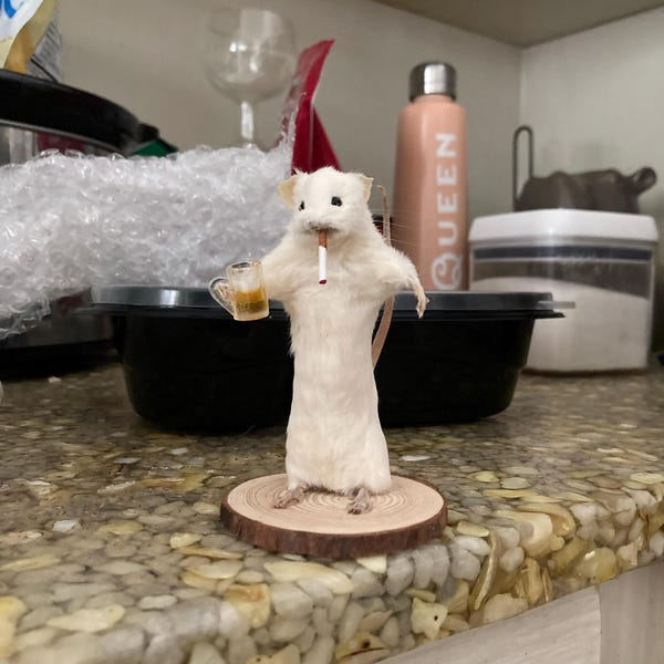 Taxidermy Smoking Drinking Beer Drunk Mouse Funny Gift for Him Her - Etsy