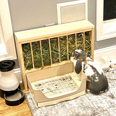Rabbit Bunny Hay Feeder for Litter Pans - Etsy