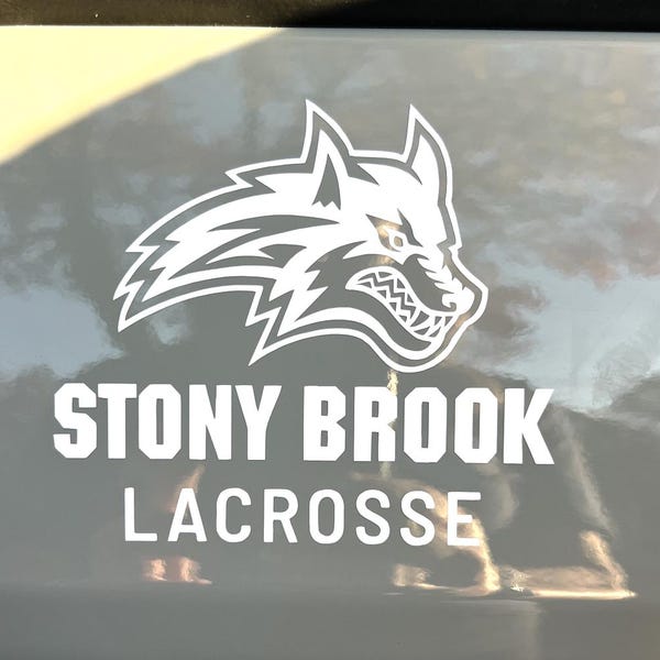 Ghosted Decal Banner Windshield Window Sticker Vinyl Car Decal Gifts ...