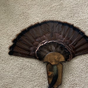 Handmade Classic Turkey Mount Plaque - Etsy