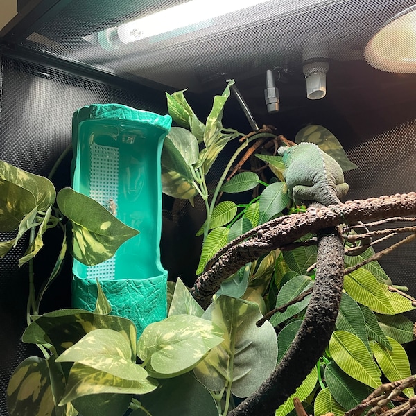 Naymars' Lizard-alley Cricket Feeder. Durable Made in the USA Chameleon ...