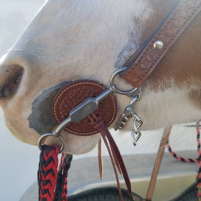 Basket Tooled Leather Bit Guards, Tooled Leather Bit Guards, Leather ...