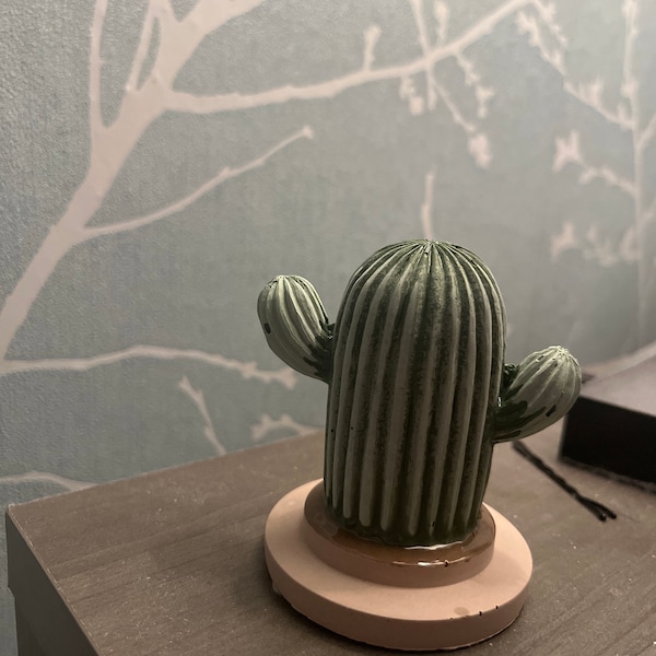 Handmade Concrete Cactus Diffuser, Essential Oil, Aroma Stone ...