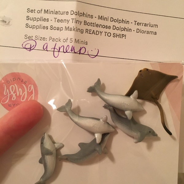 Set of Miniature Dolphins - Mini Dolphin - Terrarium Supplies - Teeny Tiny Bottlenose Dolphin ...