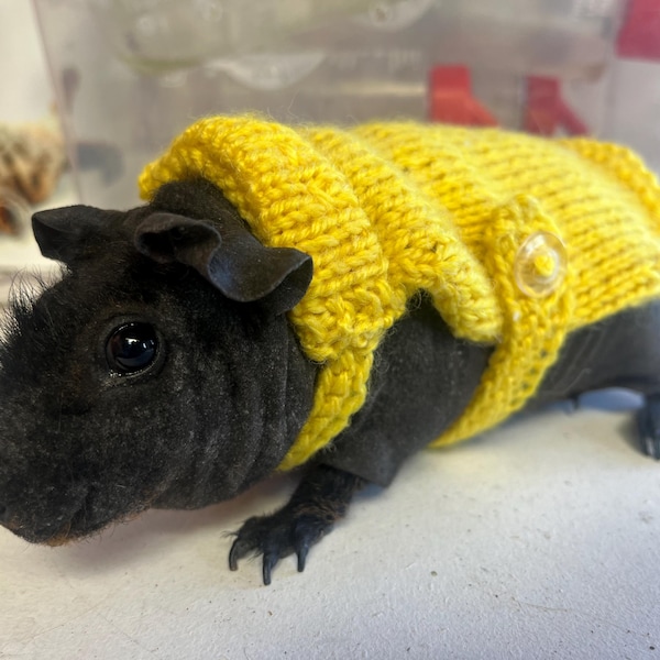 DIGITAL DOWNLOAD PDF Guinea Pig Crochet Pattern Decorative Diaper Style ...