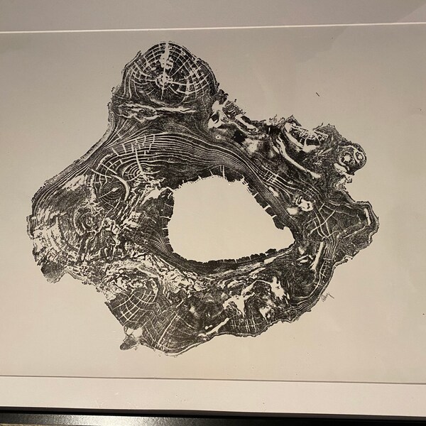 Canterbury Oak Trilogy . Shapes in Nature . Nature Inspired Art ...