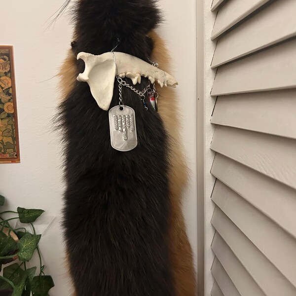 North American Theriotypes Sticker Sheet Therians Nature Stickers - Etsy