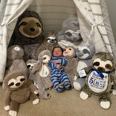 Personalized Stuffed Animal, Sloth Birth Announcement Stuffed Animal ...