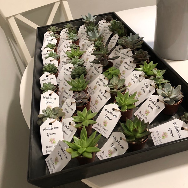 Baby Shower Tags, Watch Me Grow Succulent Favor Tags Gift Tags Baby ...