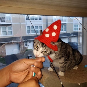 Cat Bonnet Cat Hat Cat Accessories Cat Costumes Cat Supplies - Etsy