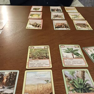 Ecologies Card Game Gameplay Inspired by Nature Use - Etsy