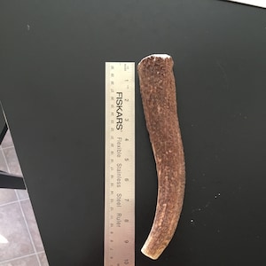 Set 14 Beautiful Fresh 3X3 Matched Set Whitetail Deer Shed Antlers ...