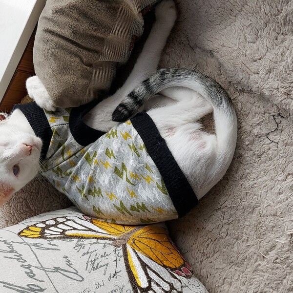 Sphynx Cat Clothes, Clothes, Long Sleeves Sphynx Cat Jumper, Sphynx ...