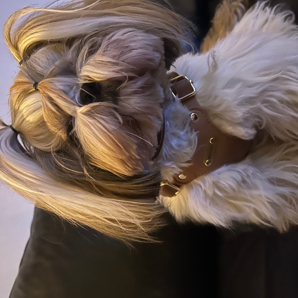 Realistic Blueberry Taba Squishy Toy, Blueberry Squishy Keychain ...