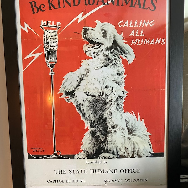 Be Kind to Animals Calling All Humans Vintage Animal Rights Welfare ...