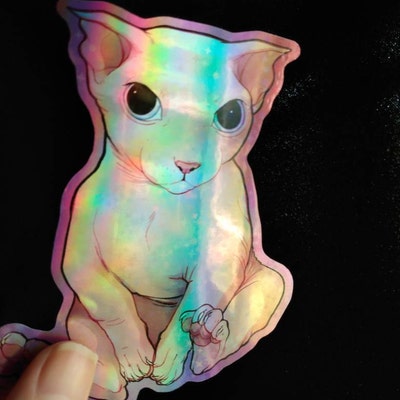 Bingus My Beloved Meme Cat Large Holographic Sticker - Etsy
