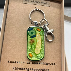 Plant Cell Key Chain Key Ring Cell Biology, Biology Gift, Key Chain ...