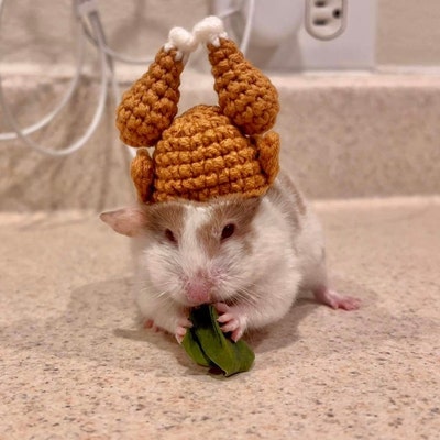Turkey Thanksgiving Pet Hat-hedgehog/hamster/parrot/squirrel/guinea Pig ...