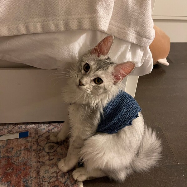 Royal Prince Nobility Clothes for Cats, Prince Crown for Cats, Handmade ...