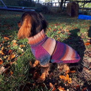 Knitting PATTERN PDF Dachshund Sweater in 1 Size S Chest 15-16 | Etsy