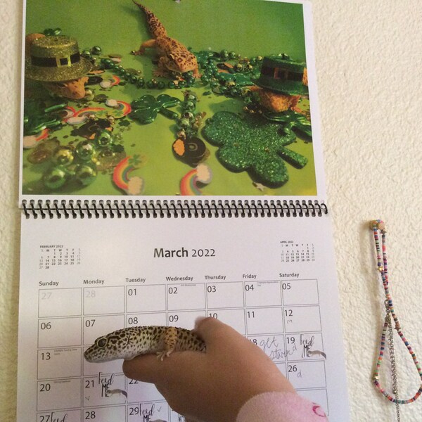 12 Months of Goofy Geckos Seek and Find 2025 Calendar - Etsy