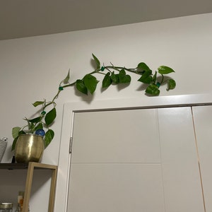 Small Hanging Plant, Fake Plants Decor, Artificial Trailing Plant ...